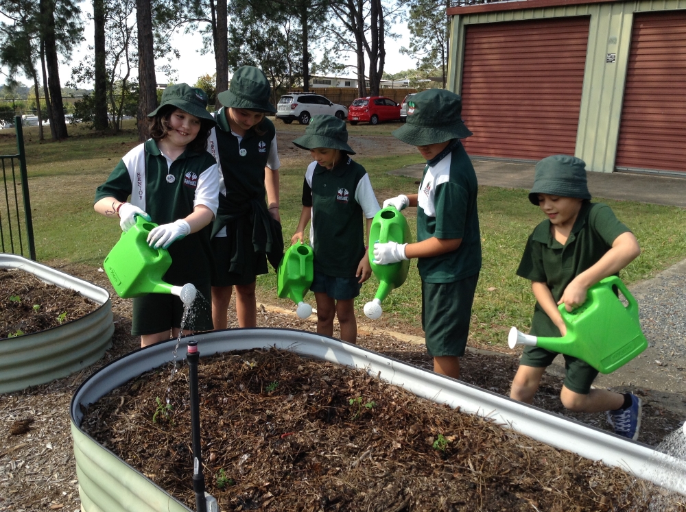 04 - Environmental programs