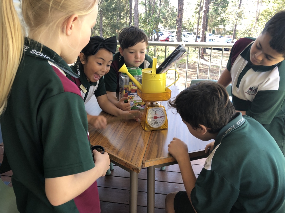 02 - Numeracy